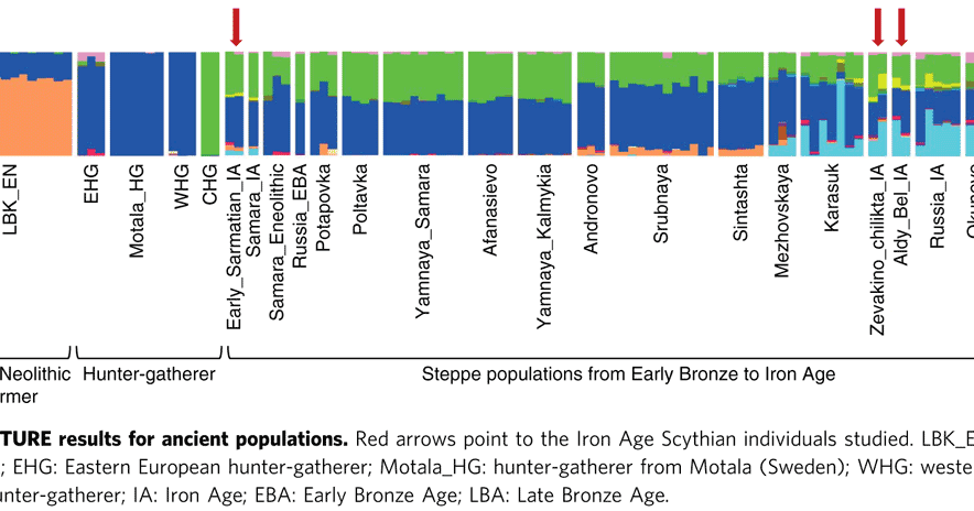 Eurogenes Blog: Genetic origins and legacy of the Scythians and Sarmatians