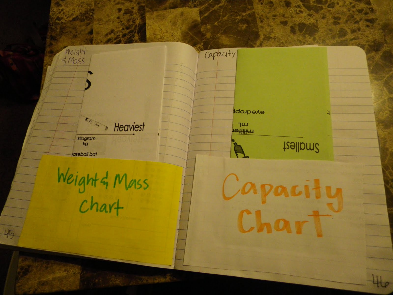 Tales of Frogs and Cupcakes: Math Notebooks