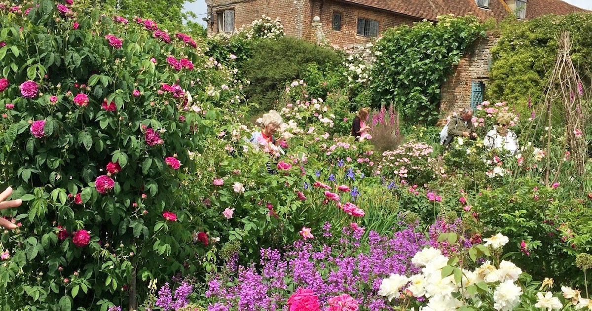 Helen Philipps: Romantic Roses