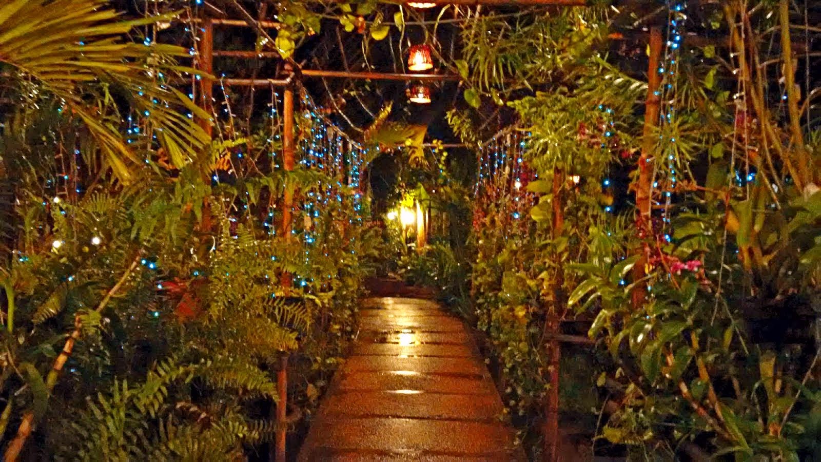 Fork It, Let's Travel!: Hello Cambodia!