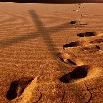 Six Marks of Jesus' Disciples