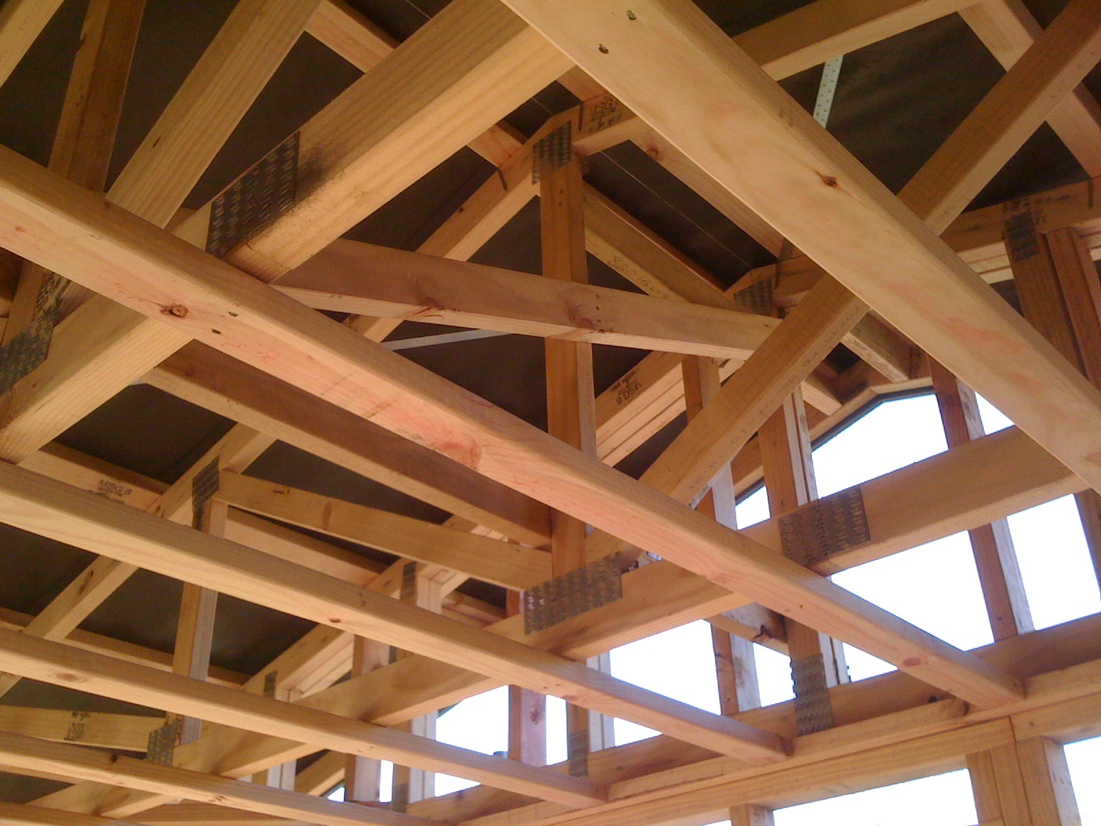 Robert Teh: week 15 unitec carpentry 29 june - 1 july 2011