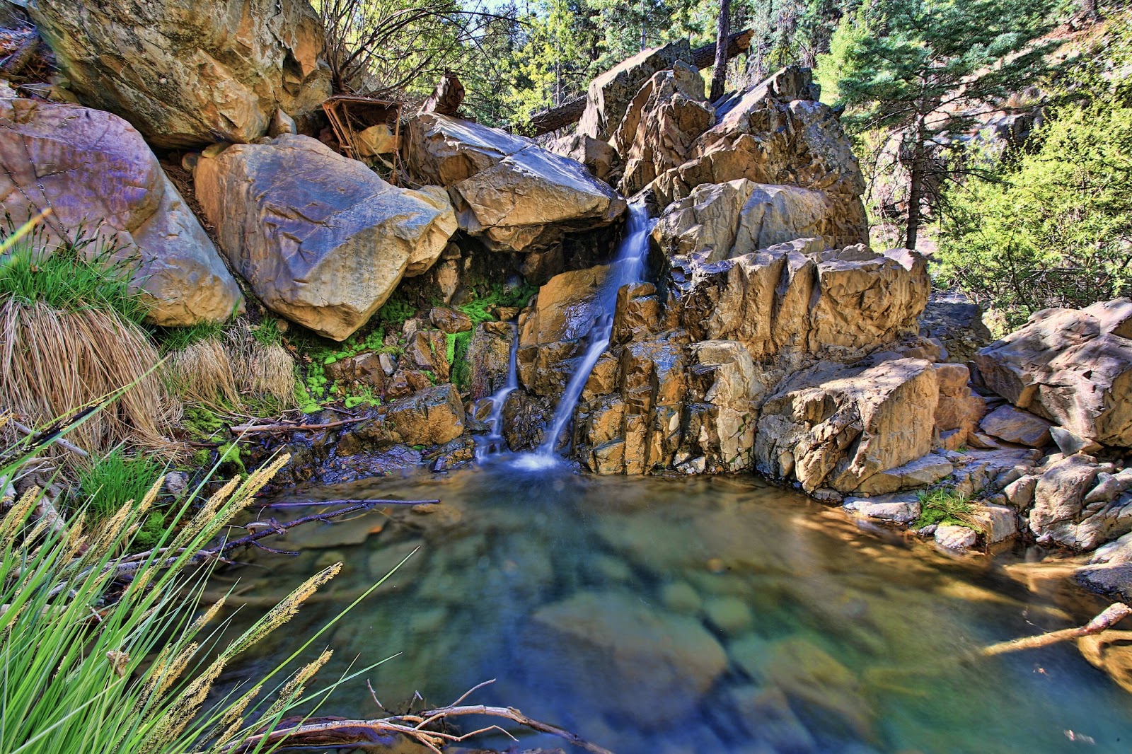 BM: Senator Waterfall