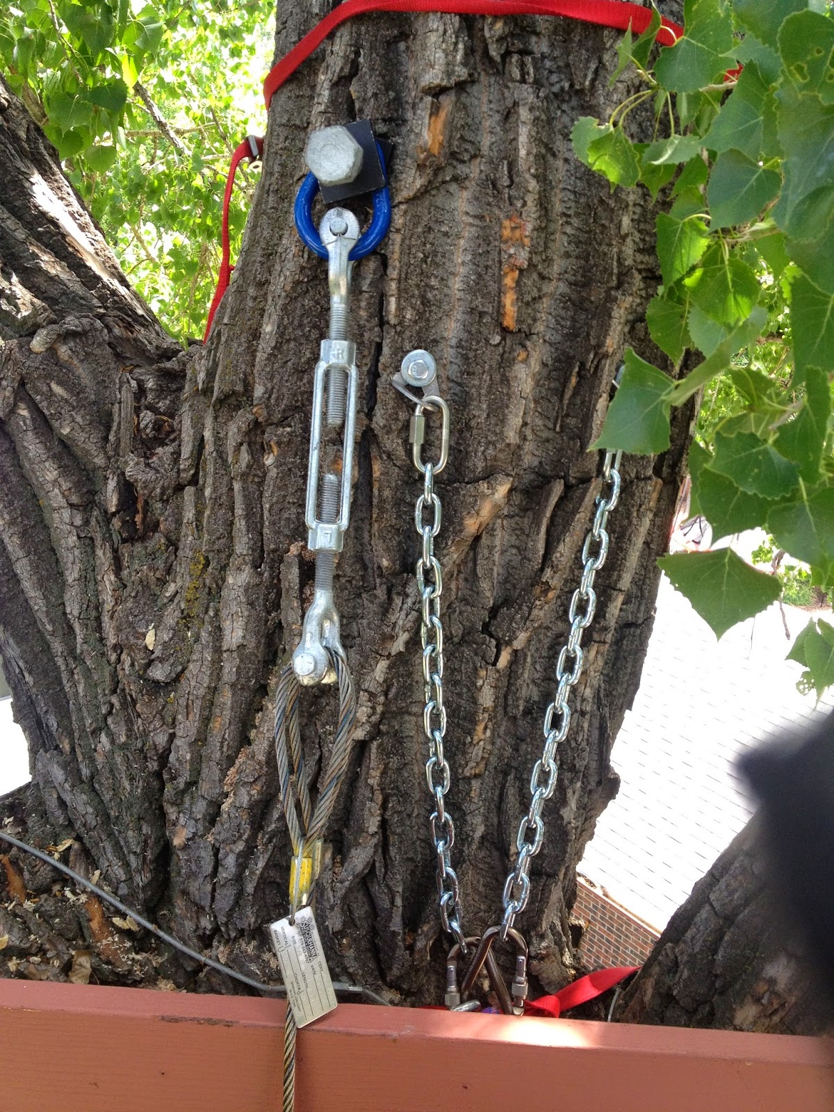 The Treehouser: Part 8: The Most Important Treehouse Design Feature