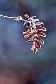 Shorewood Art: Principle of Design: Emphasis