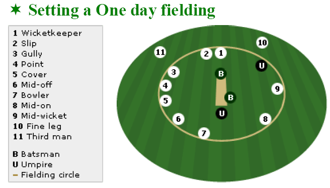 Cricket Tips and Tutorial - How to: Setting a One day fielding