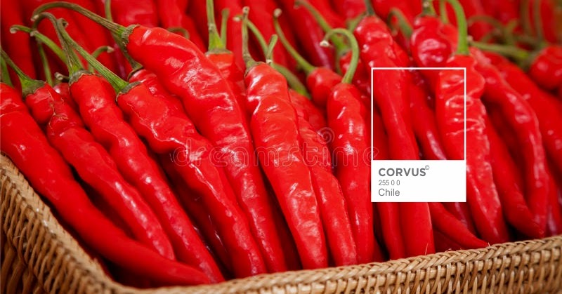 #Chile el color de la temporada 2018