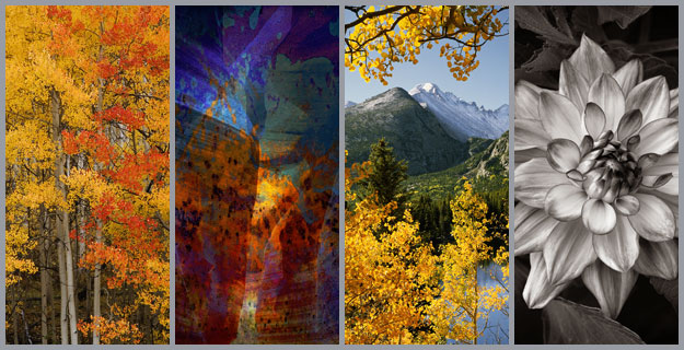 wallpaper zh: nature photography art