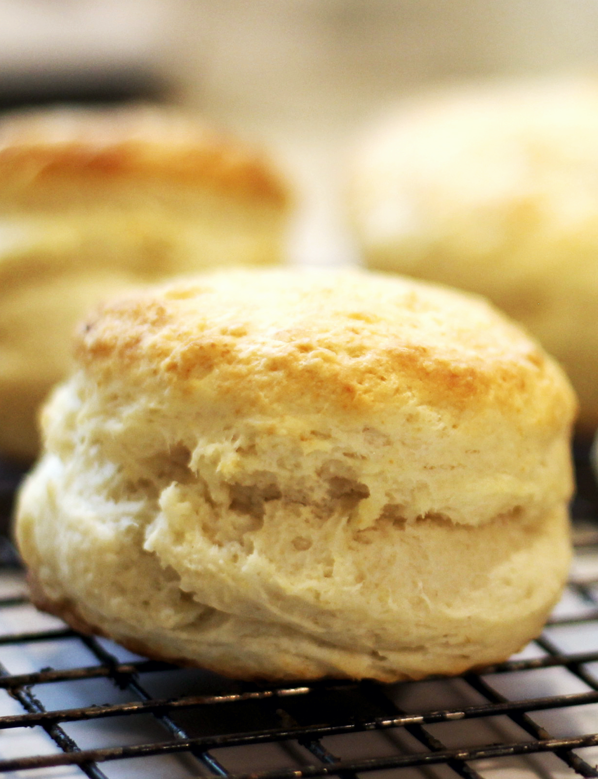 Cooking With Mary and Friends: BISCUITS - Sweet and Savory Recipes for ...