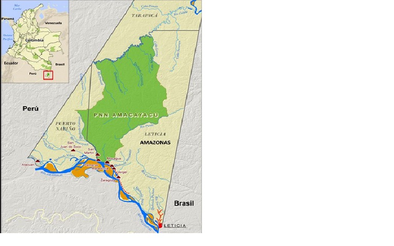 CLAUDIA ZUÑIGA TURRIAGO