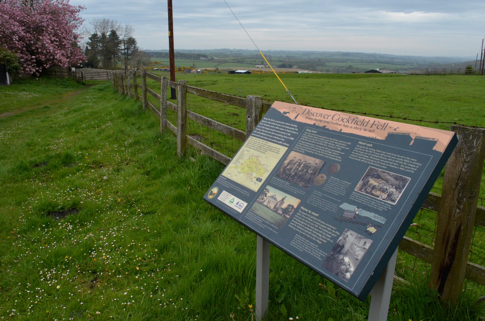 Teesdale Mercury: Anger over yet more damage to Cockfield Fell