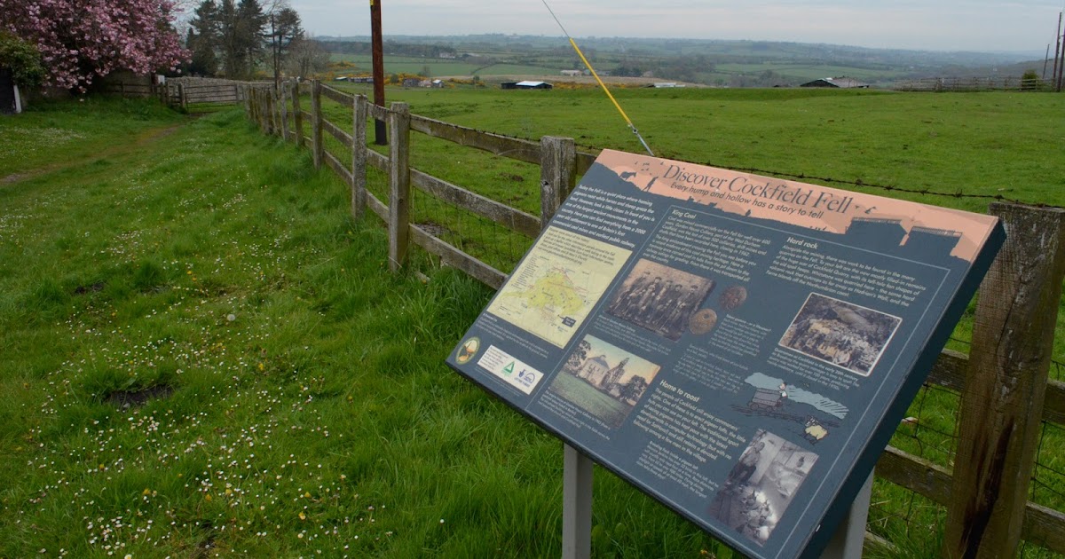 Teesdale Mercury: Anger over yet more damage to Cockfield Fell