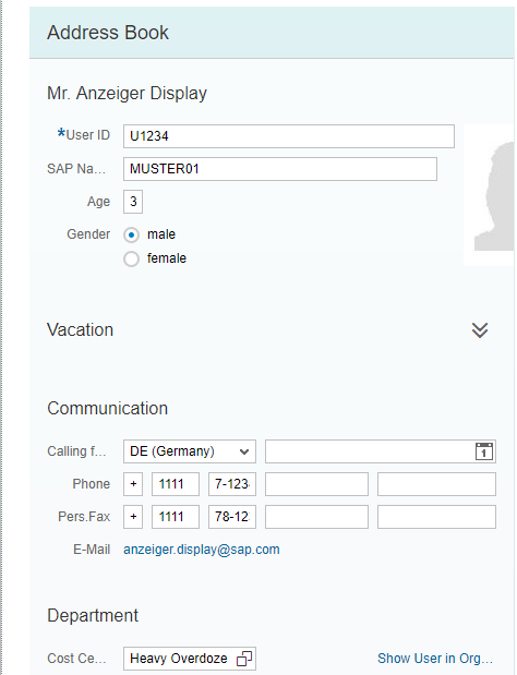 Sap Ui5 Starters Grid Grid Layout And Responsive Grid Layout Sapui5