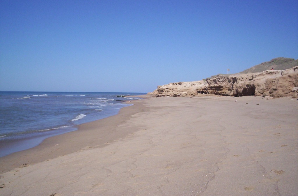 Delfines del Atardecer...: Mar de Ajó (Costa Azul):