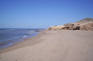 Delfines del Atardecer...: Mar de Ajó (Costa Azul):