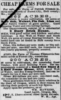 19th Century Historical Tidbits: 1875 Advertisements and Story Starters