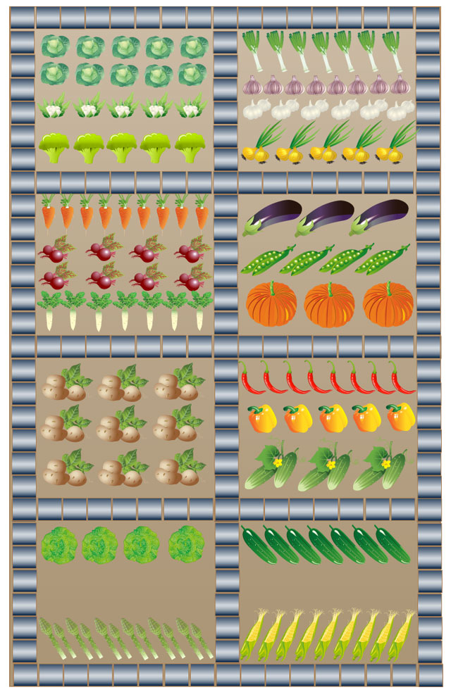 Seed to Feed Me: VEGETABLE CROP ROTATION