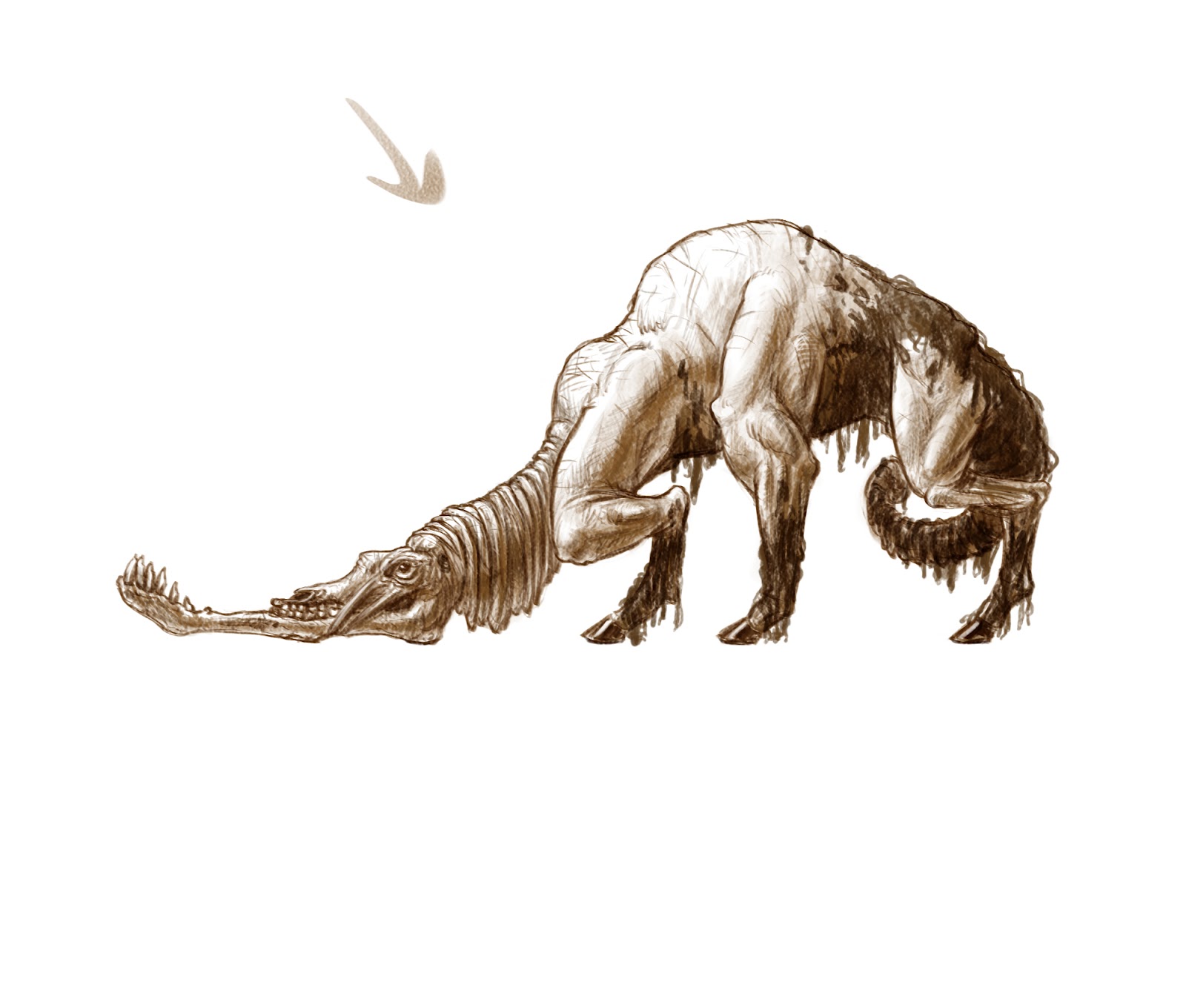 Dark Waters: creature design: Sturdy drawings