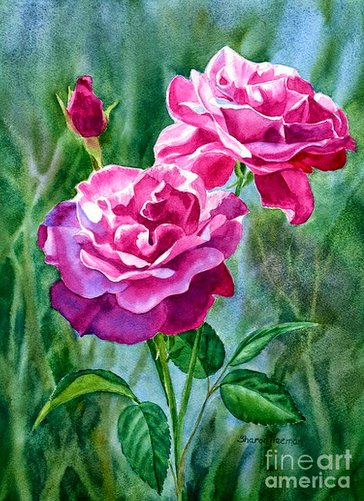 Cuadros Modernos Pinturas y Dibujos : Bodegones de Rosas Pintura ...