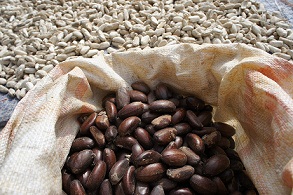 I was born in Raub: Buah Perah Untuk Asam Rong