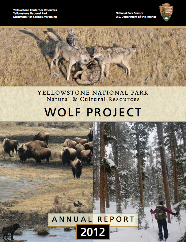 ERIPE LUPUS: YELLOWSTONE NATIONAL PARK WOLVES