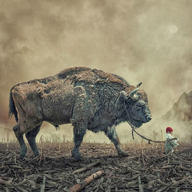 Fundelia: Caras Lonut Enchanting Surreal Photography