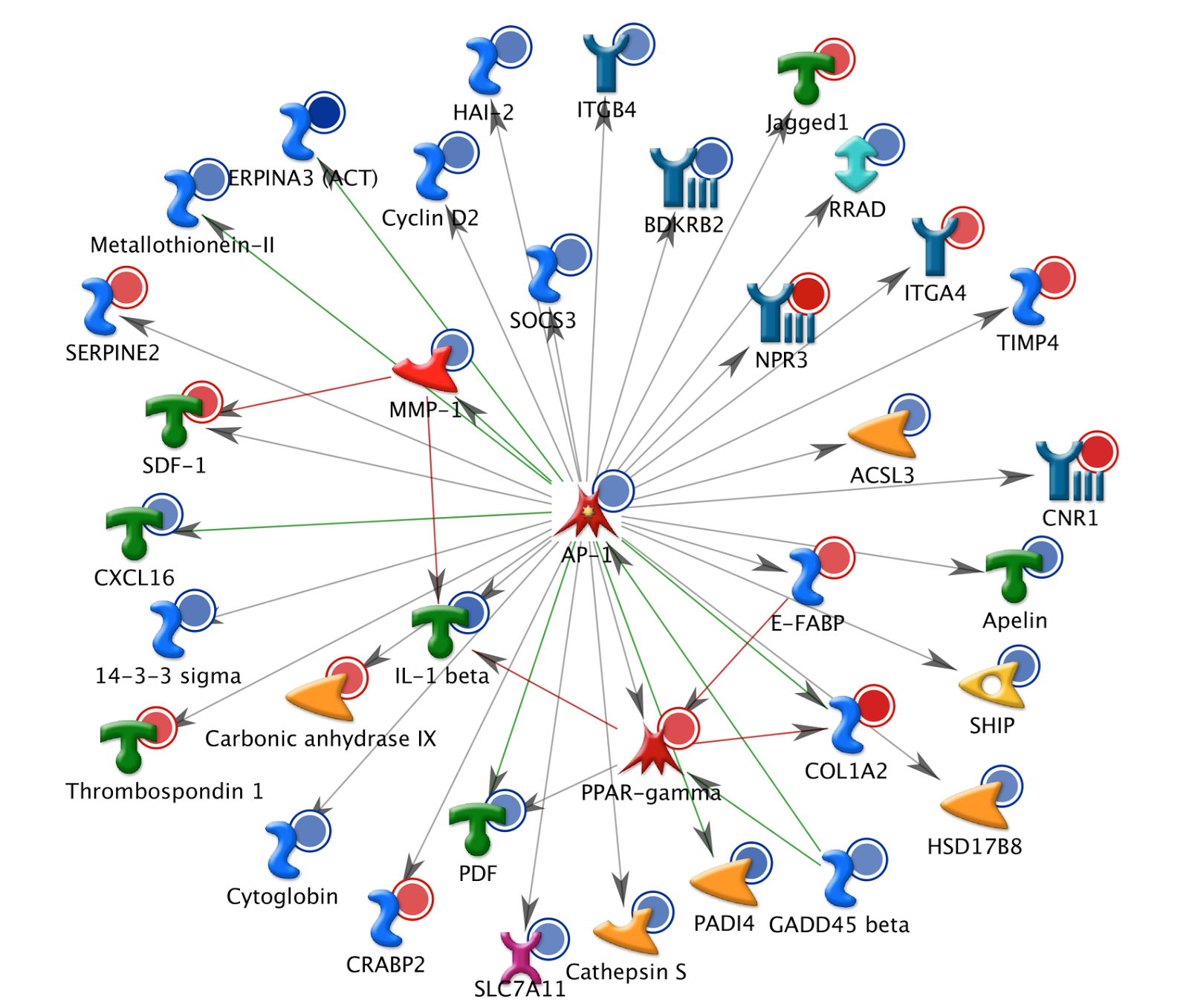 Forty-Four and Two: The Digital Era of Biological Discovery