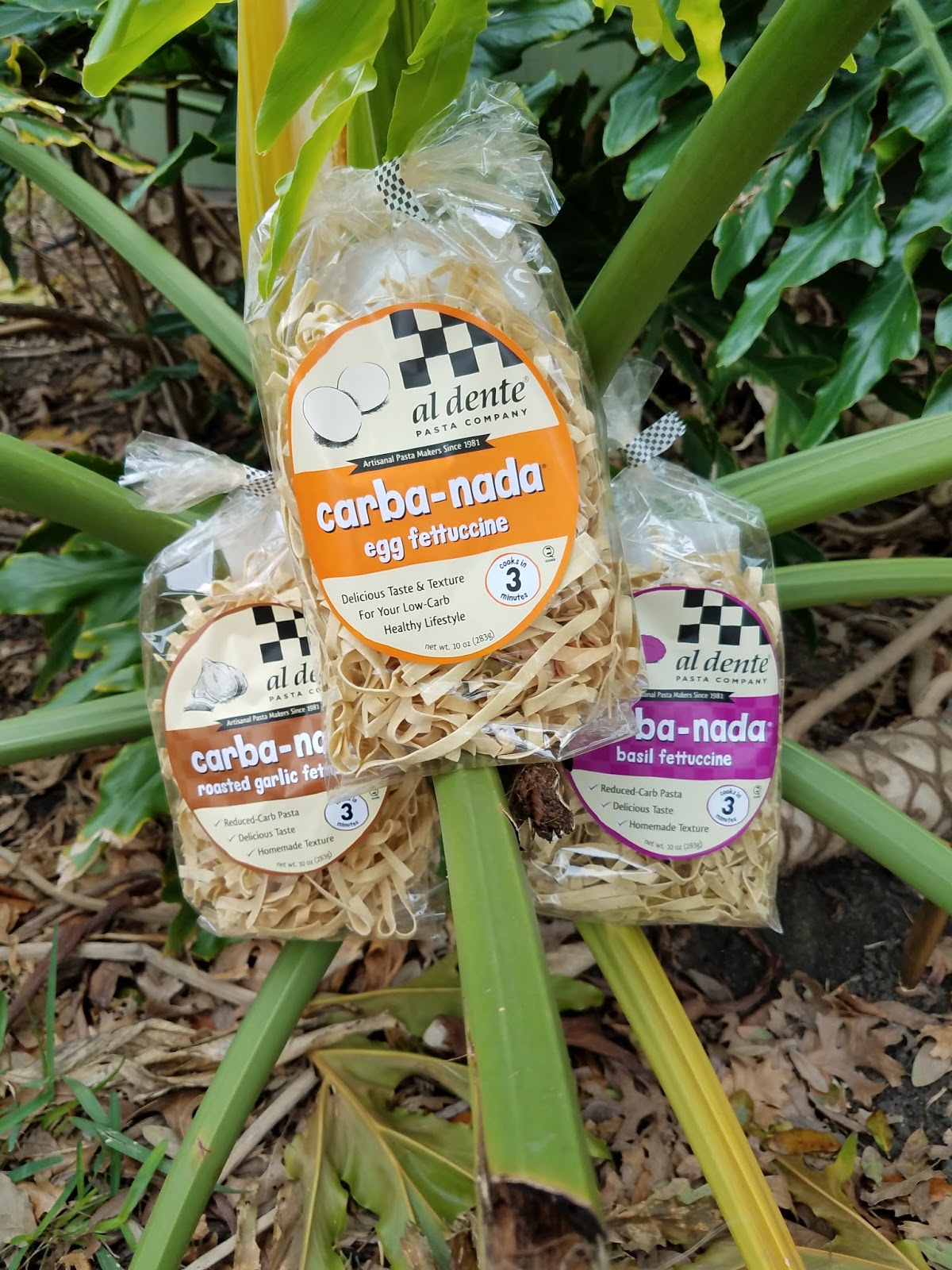 The ABCD Diaries: All of the Taste and Way Less Carbs with Carba-Nada ...