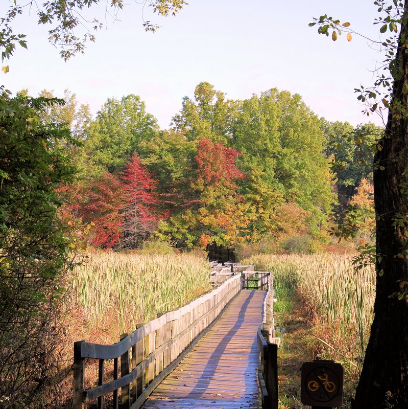 GOODYEAR HEIGHTS METROPOLITAN PARK ~ Historic Goodyear Heights