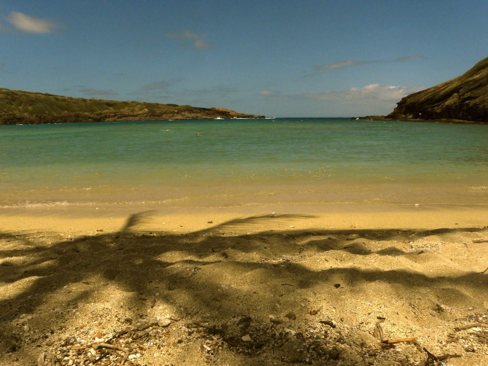 "O Havaí, seja aqui": Aloha!