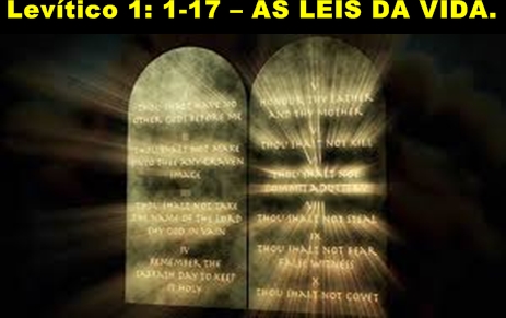 Levítico 1: 1-17 – AS LEIS DA VIDA. ~ JAMAIS DESISTA!
