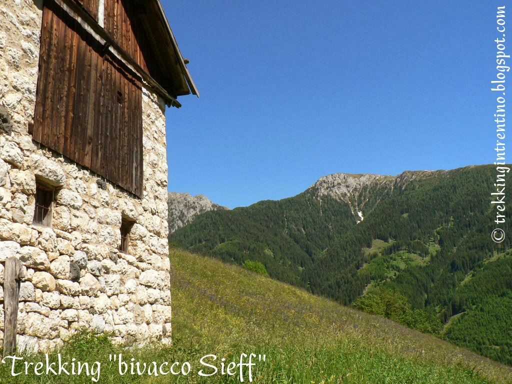 Trekking in Trentino: Medil