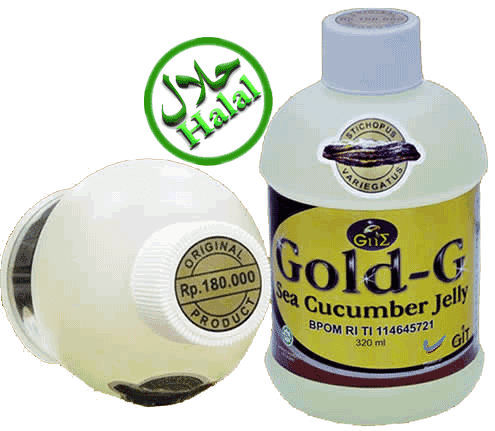 Manfaat Jelly Gamat Gold G: Manfaat Jelly Gamat Gold G