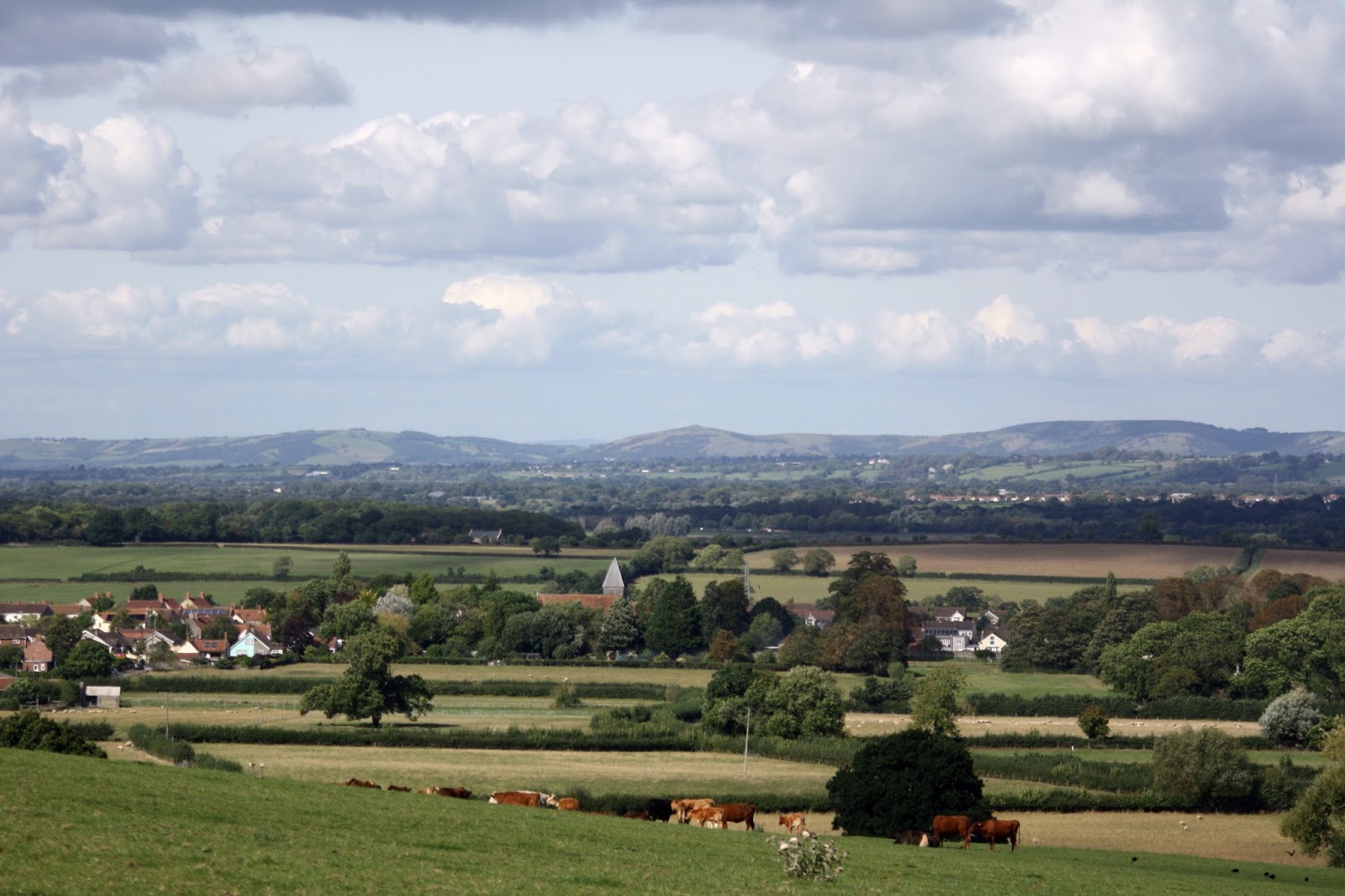 Views from Somerset: Walton Hill in the Polden Hills. An unrivalled ...