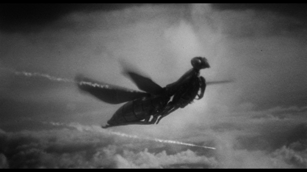 HORROR 101 with Dr. AC: THE DEADLY MANTIS (1957) Blu-ray review