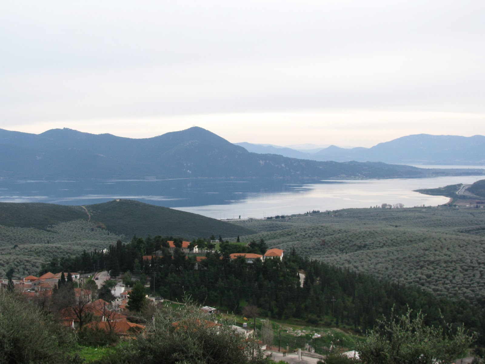 Παρέμβαση: ΑΠΟΤΕΛΕΣΜΑΤΑ 1ου ΛΟΓΟΤΕΧΝΙΚΟΥ ΔΙΑΓΩΝΙΣΜΟΥ ΠΕΛΑΣΓΙΑΣ ΦΘΙΩΤΙΔΑΣ
