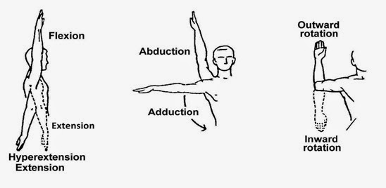 lupita pardosi: Gerakan ROM (Range Of Motion) , Nursing :)