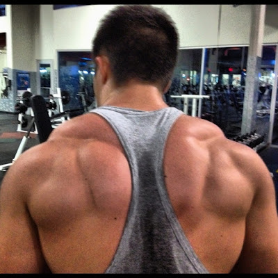 the beauty of male muscle: Blake