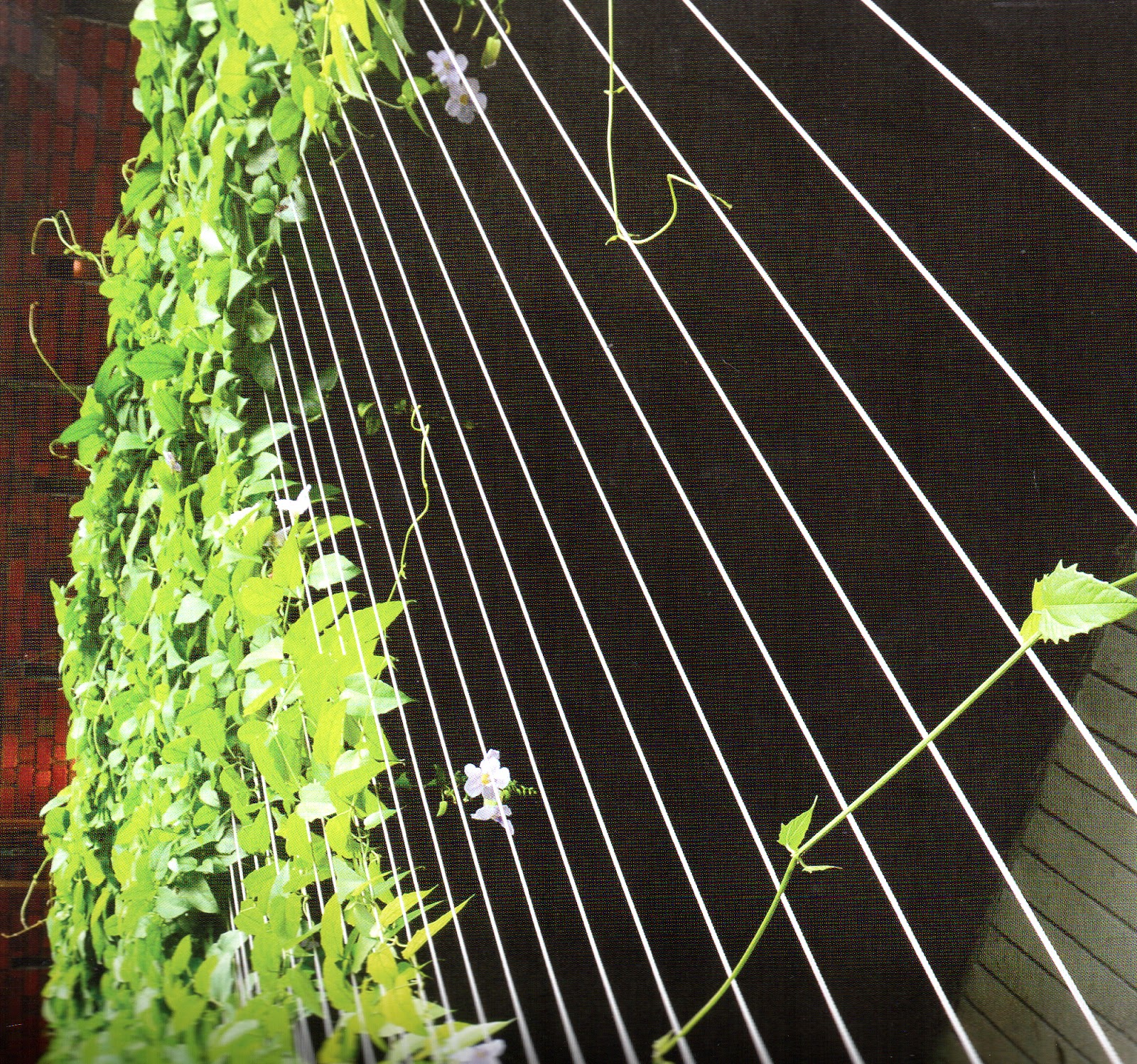 Vertical Garden Concept for Buildings: Greenwall Vertical Garden System ...