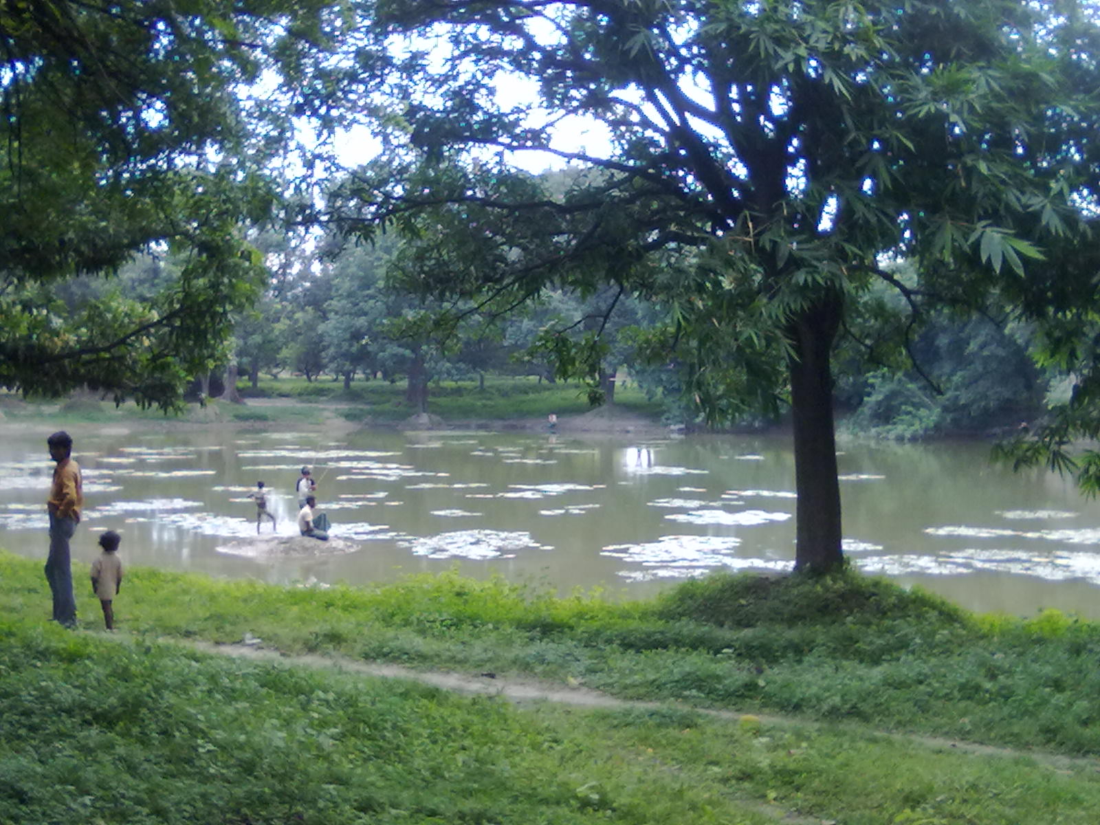 Wirasat - Pargana Chail- Allahabad: BadaGaon - Pargana Chail ( Baragaon)