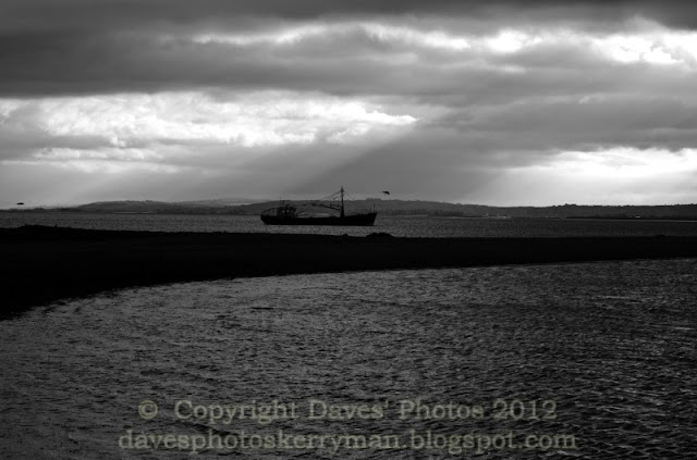 Daves' Photos: A STUDY IN BLACK & WHITE AT LOWER CROMANE