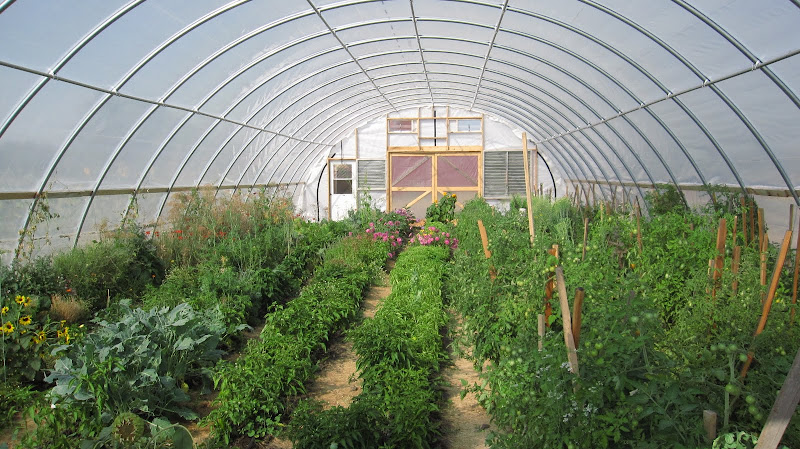 Harvest House Farm: Previous Farm Projects