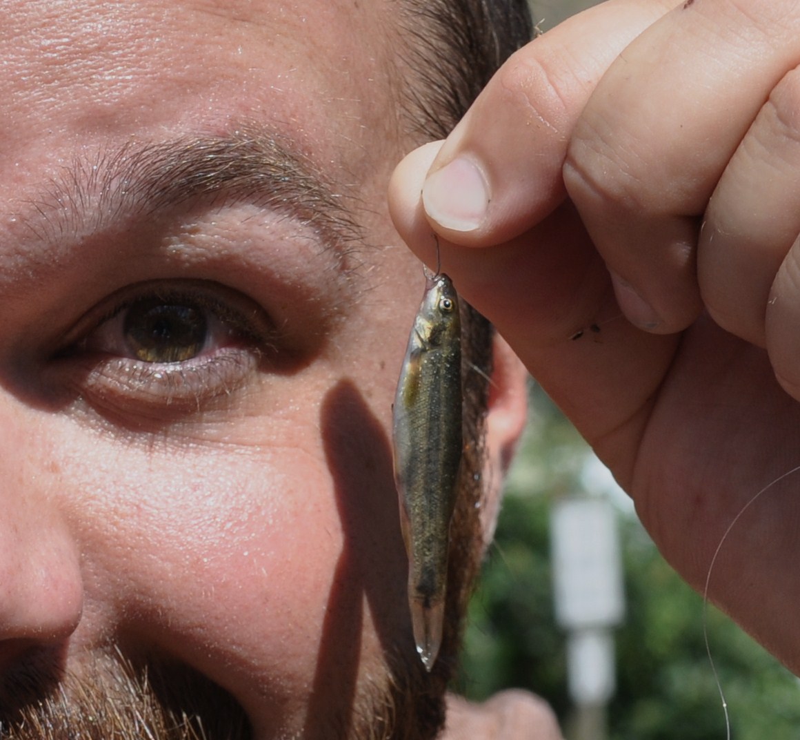 Bryanlikestofish: Fish List - The First 100