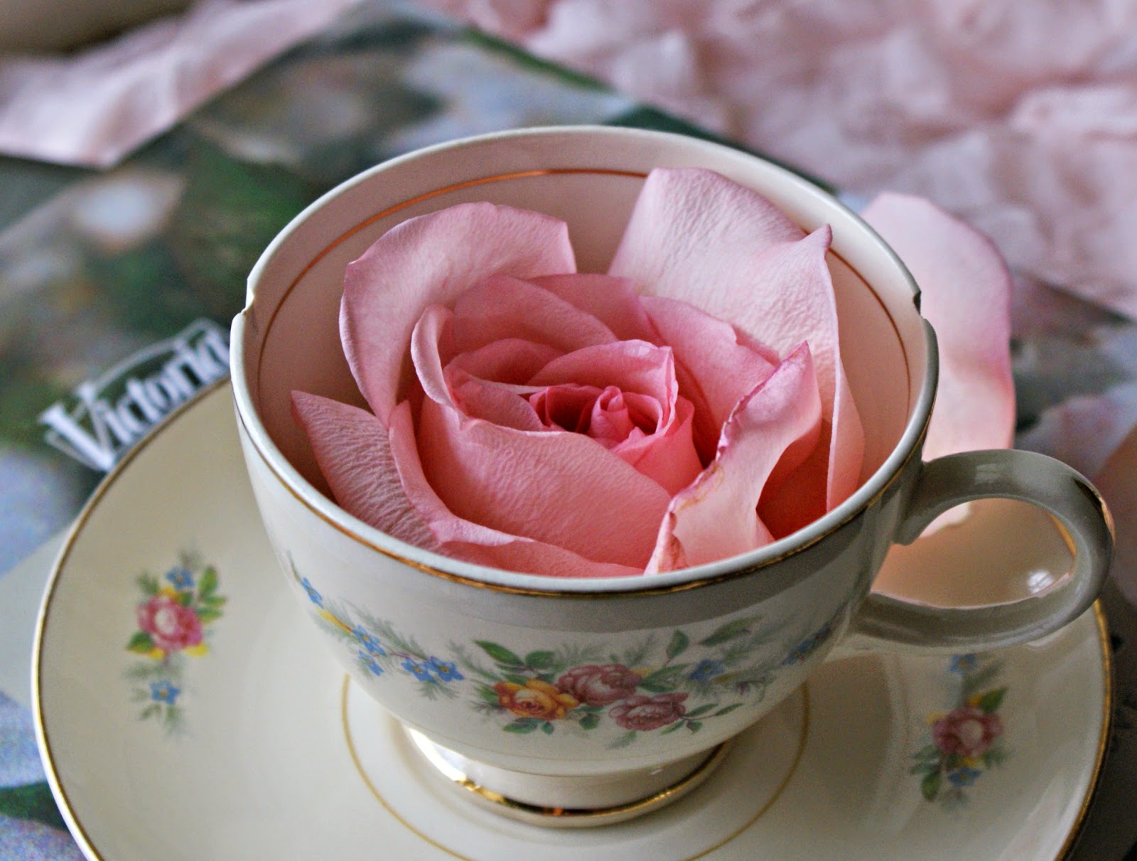 A Little Loveliness: January Roses