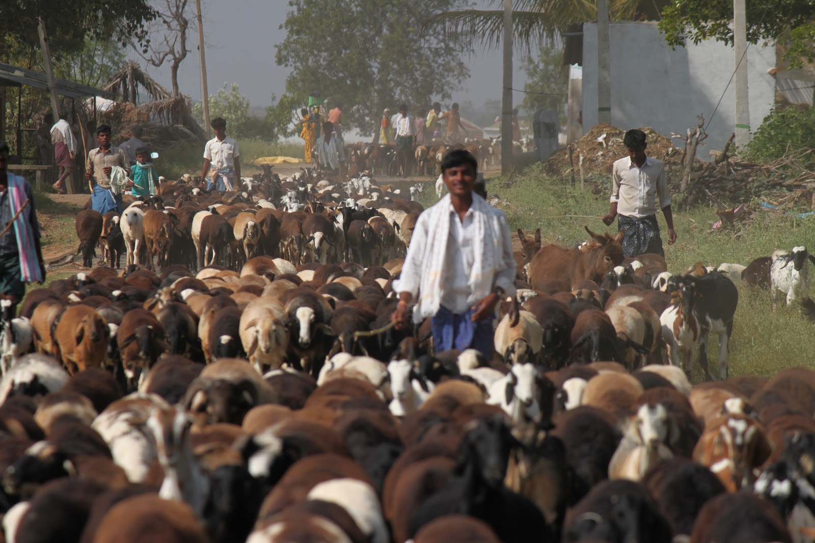 Maithreya India: Gunduthopu, Gomala and Kaval Lands of Karnataka