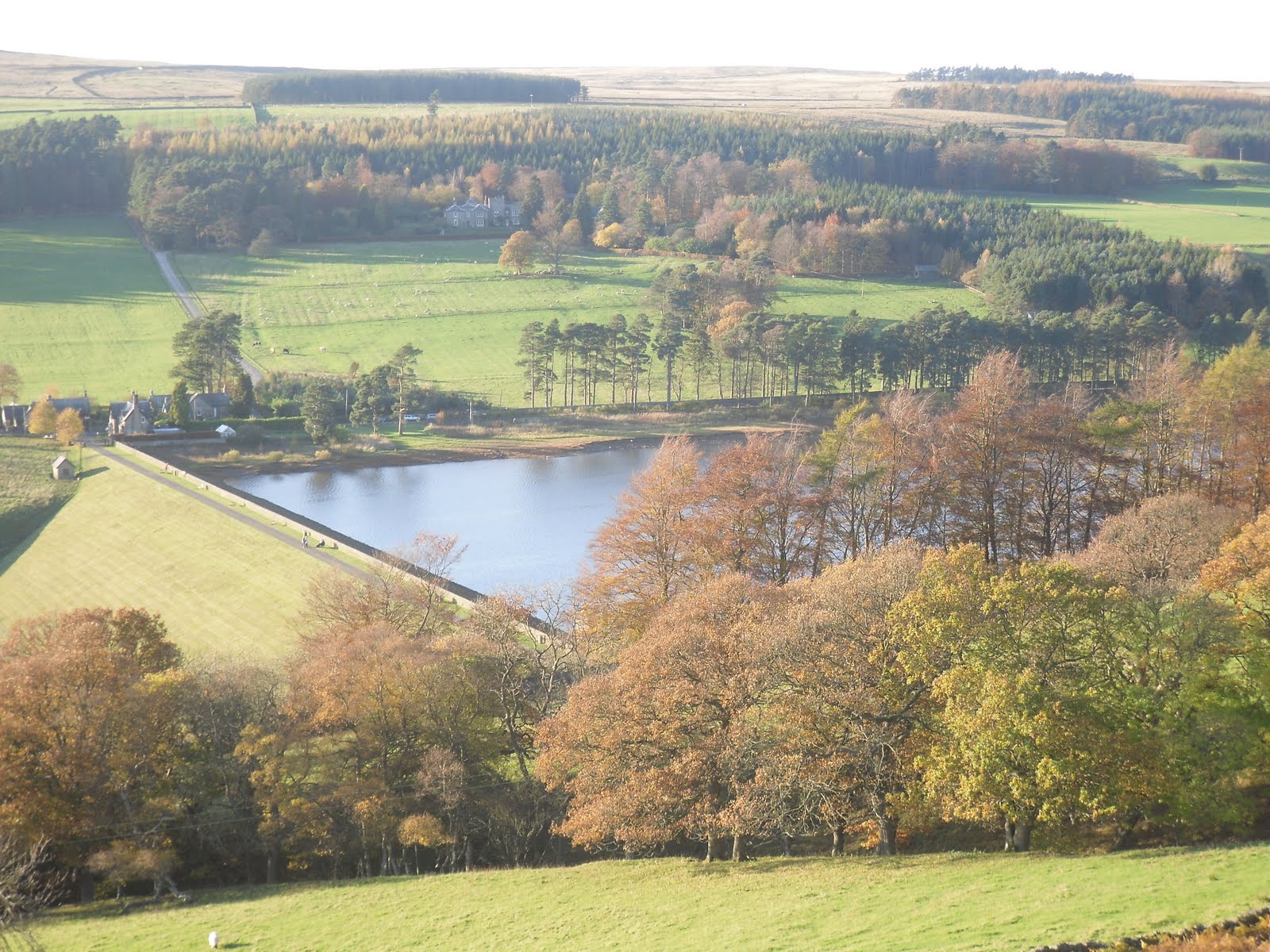 Rambling Nana: Wolsingham, Tunstall Reservoir Circular