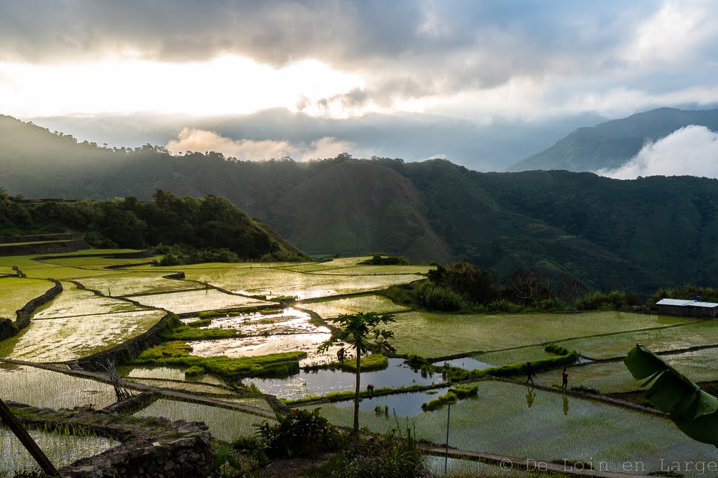 Philippines - jour 3 : De Buscalan à Sagada - de chair et d'os