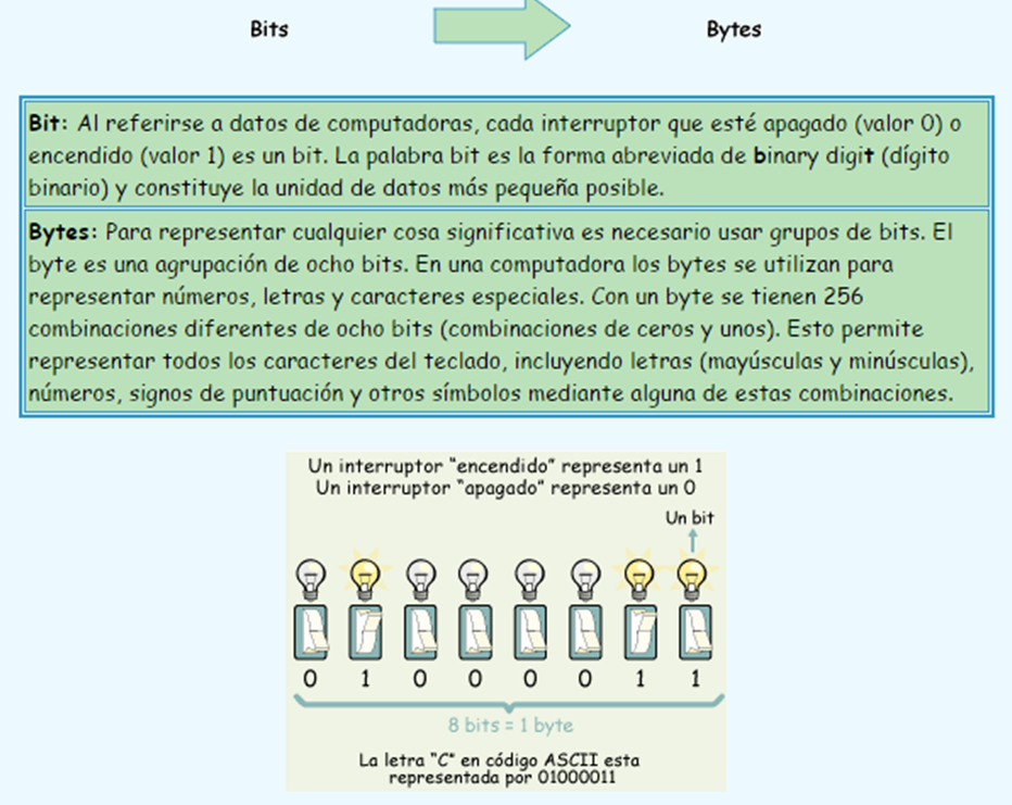 Capacidad de la Unidad de Procesamiento