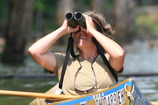 Julie Zickefoose on Blogspot: Canoe with Zick!