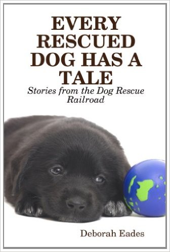 Book Club October 2015 - Dog Rescue Special | Australian Dog Lover